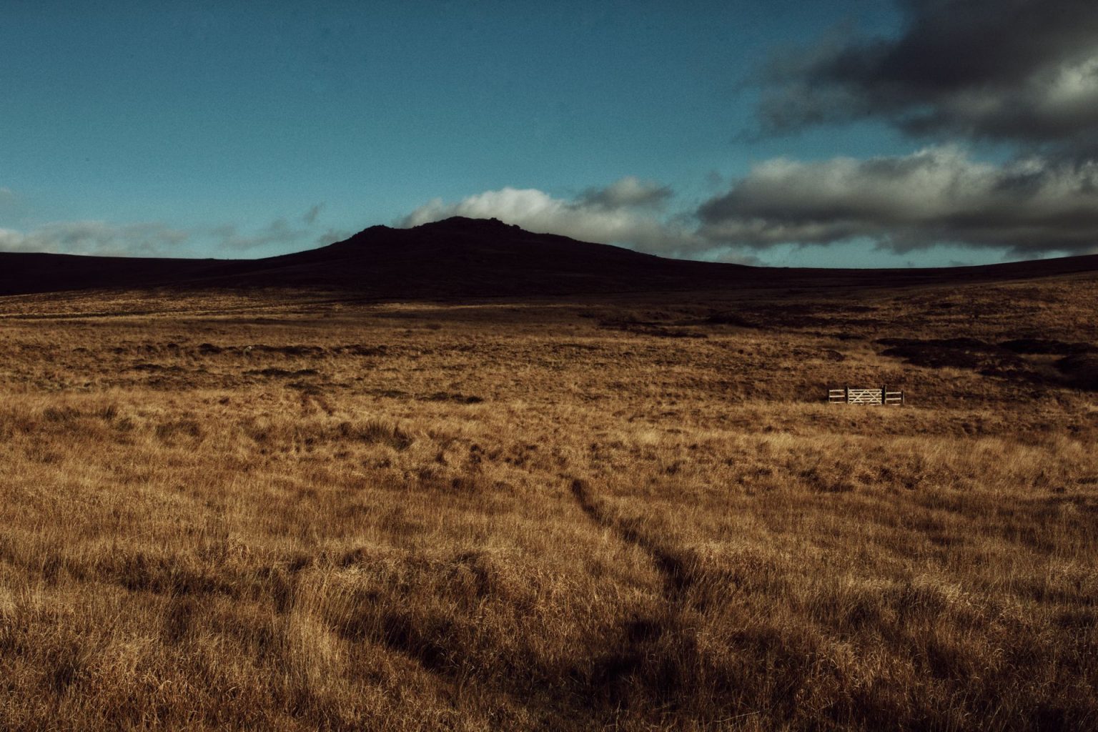 Stephen Peart – The Dartmoor Collective