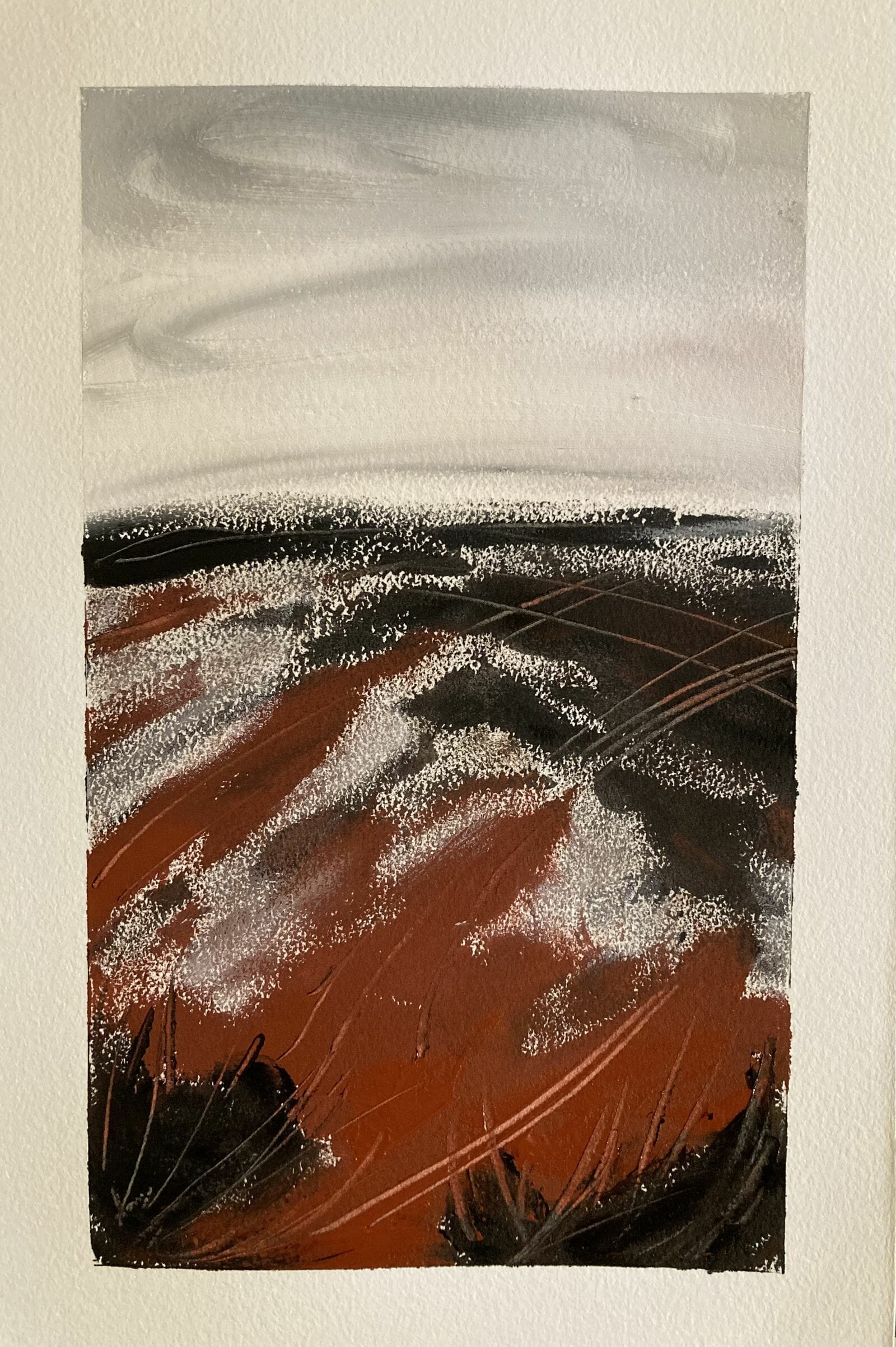 Becca Thorne – The Dartmoor Collective